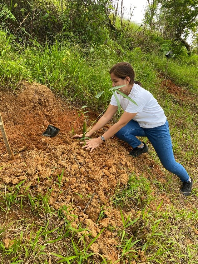 Bamboo Planting Activity - Mactanbank: A Rural Bank | Official Website